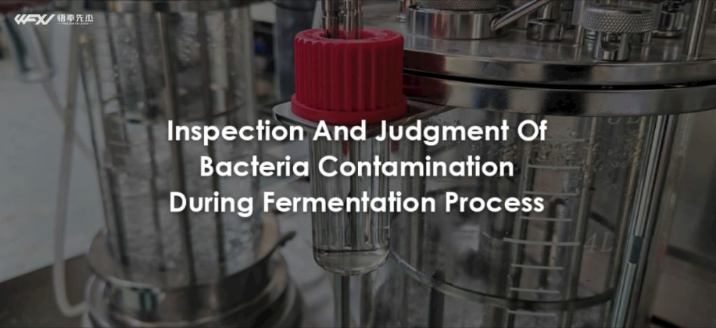 Inspection And Judgment Of Bacteria Contamination During Fermentation ...