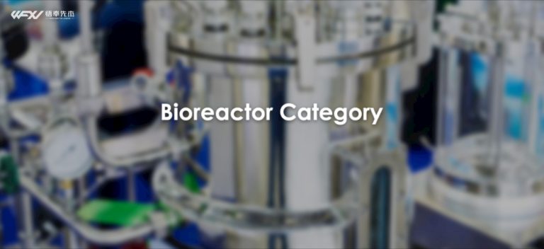 What Types Of Bioreactors Are Commonly Used In Laboratory ...