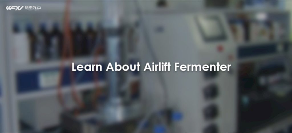 Features And Advantages Of Airlift Fermenters | Professional Bioreactor ...